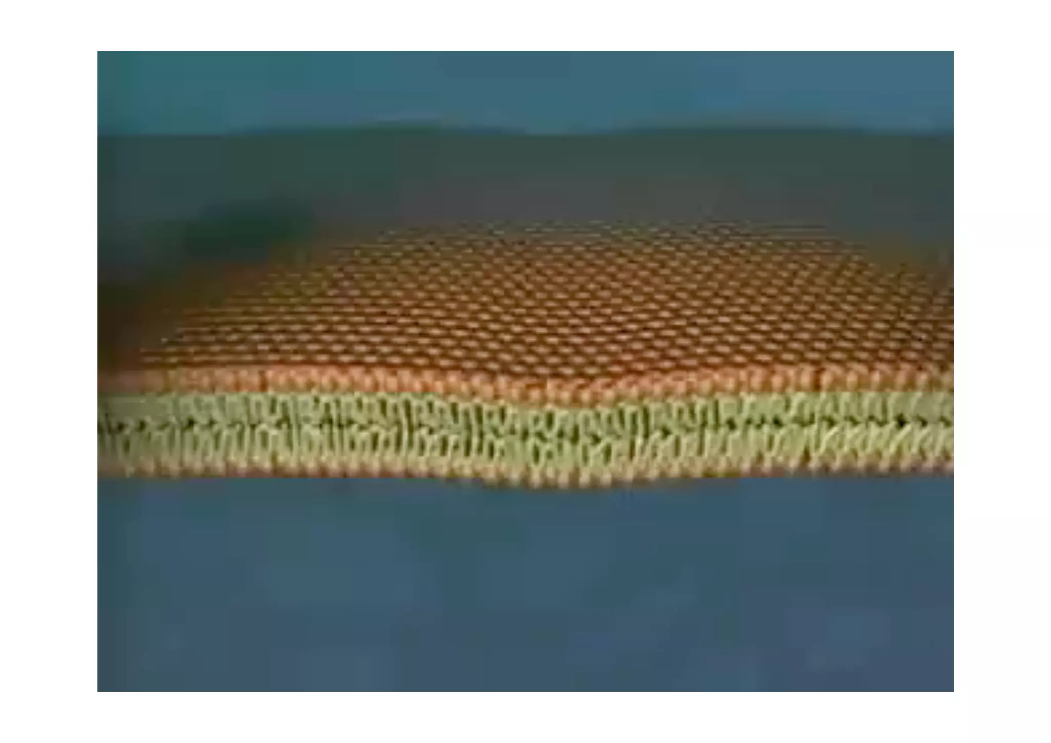 Moving Cellular Materials (3.2) | PDF