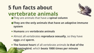 SCIENCE 3-LESSON (CLASSIFICATION OF ANIMALS).pptx