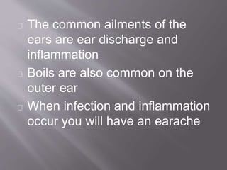 Science 3 parts of the ear | PPTX