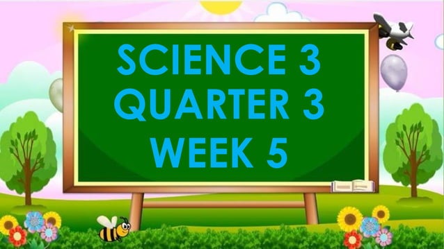 Two types of Light Science 3 PPT WEEK 4 - Day 3.pptx