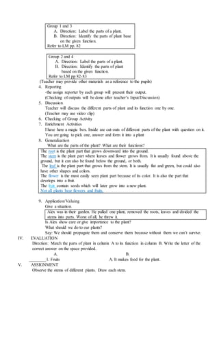 Science 3 parts and function of the plants | DOCX