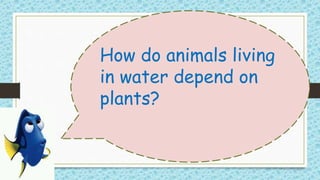 Science 3 Plants and Us a powerpoint sci | PPTX