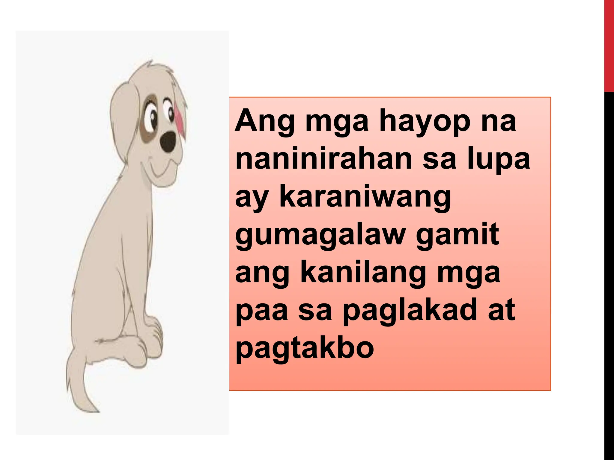 Katangian ng mga hayop sa ating pamayanan | PPTX