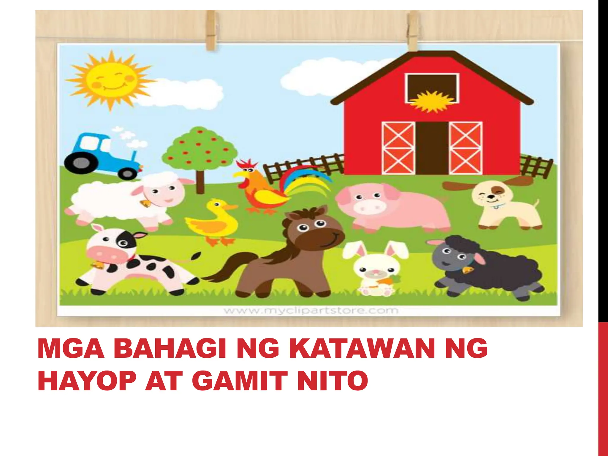 Katangian ng mga hayop sa ating pamayanan | PPTX