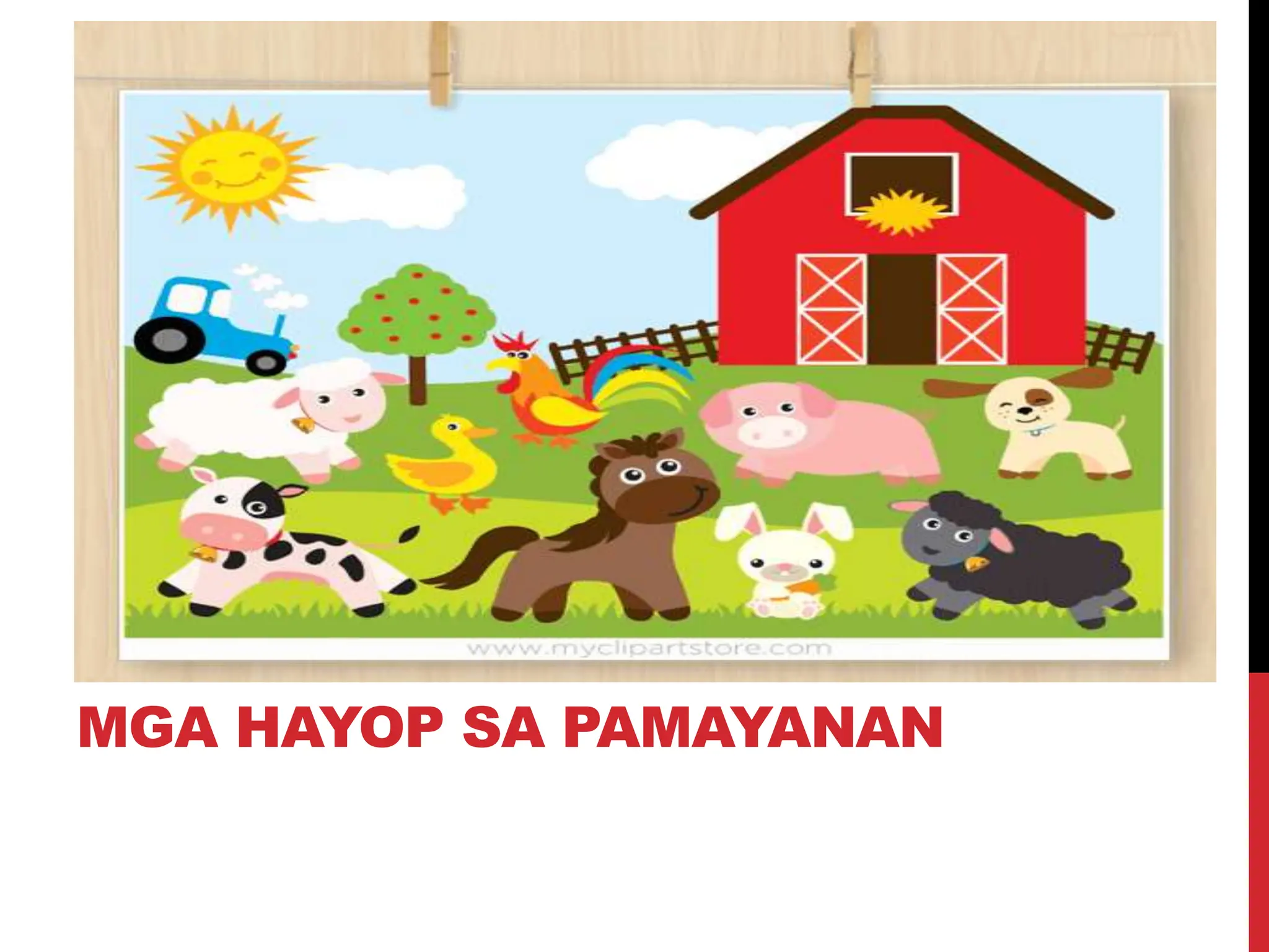 Katangian ng mga hayop sa ating pamayanan | PPTX