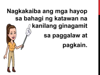 Katangian ng mga hayop sa ating pamayanan | PPTX
