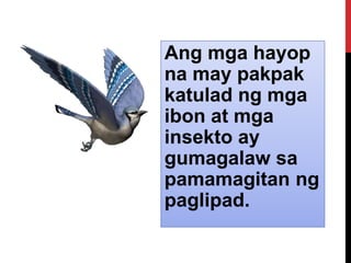 Katangian ng mga hayop sa ating pamayanan | PPT