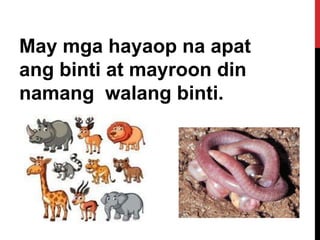 Katangian ng mga hayop sa ating pamayanan | PPT