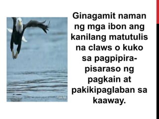 Katangian ng mga hayop sa ating pamayanan | PPT
