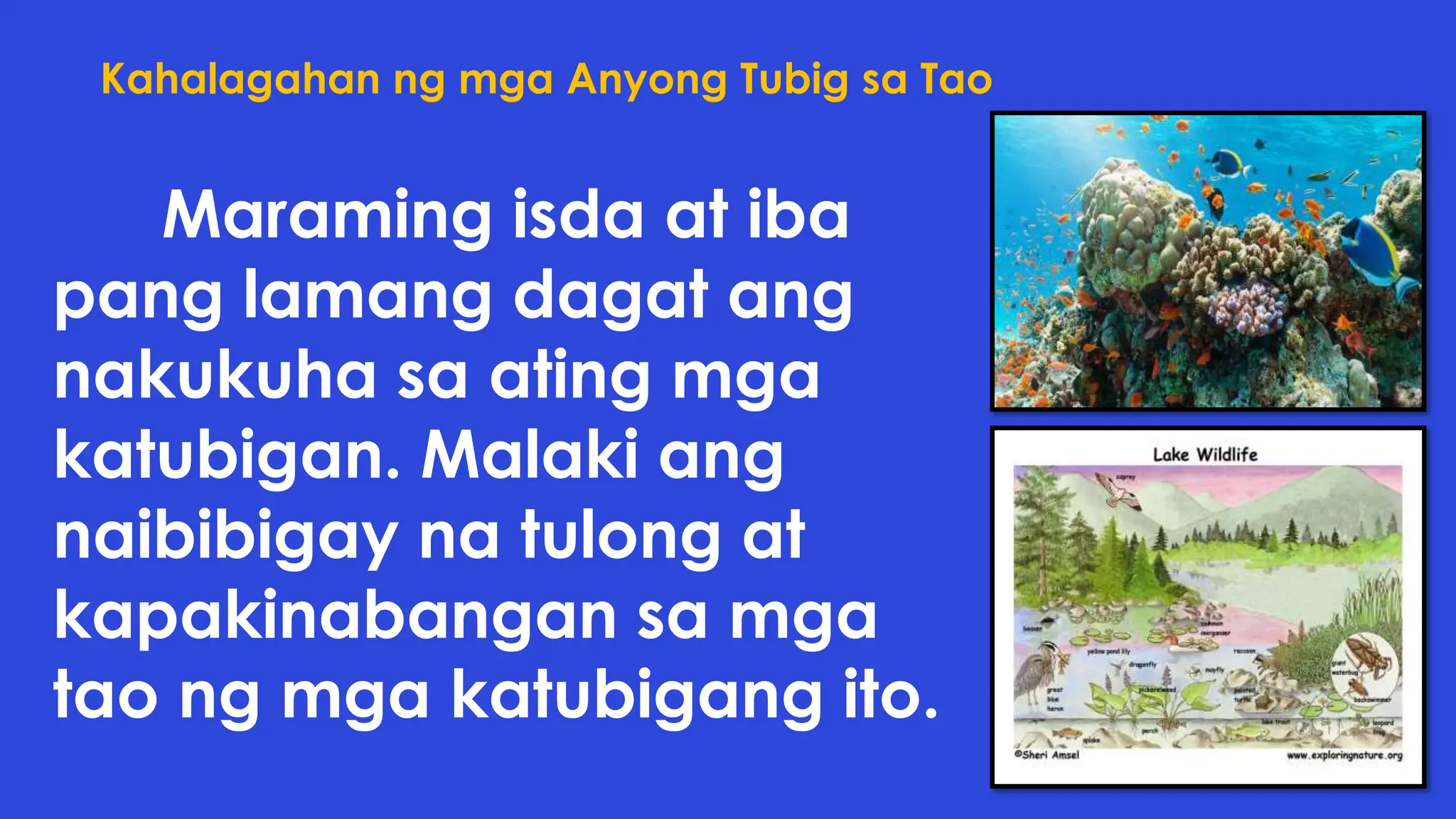 Science 3 Quarter 4 Week 2 Mga Bagay sa Ating Kapaligiran (Anyong Tubig ...