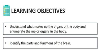 Science4-Q2-L1 (The Brain).pptx