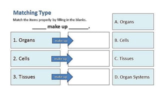 Science4-Q2-L1 (The Brain).pptx
