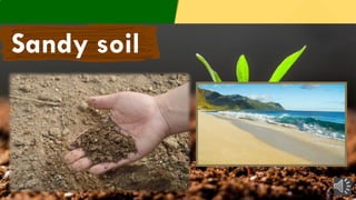 Science 4-Quarter 4- Week 1- Types of Soil.pptx