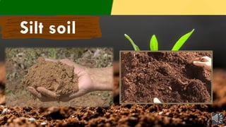 Science 4-Quarter 4- Week 1- Types of Soil.pptx