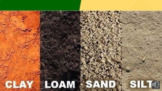 Science 4-Quarter 4- Week 1- Types of Soil.pptx
