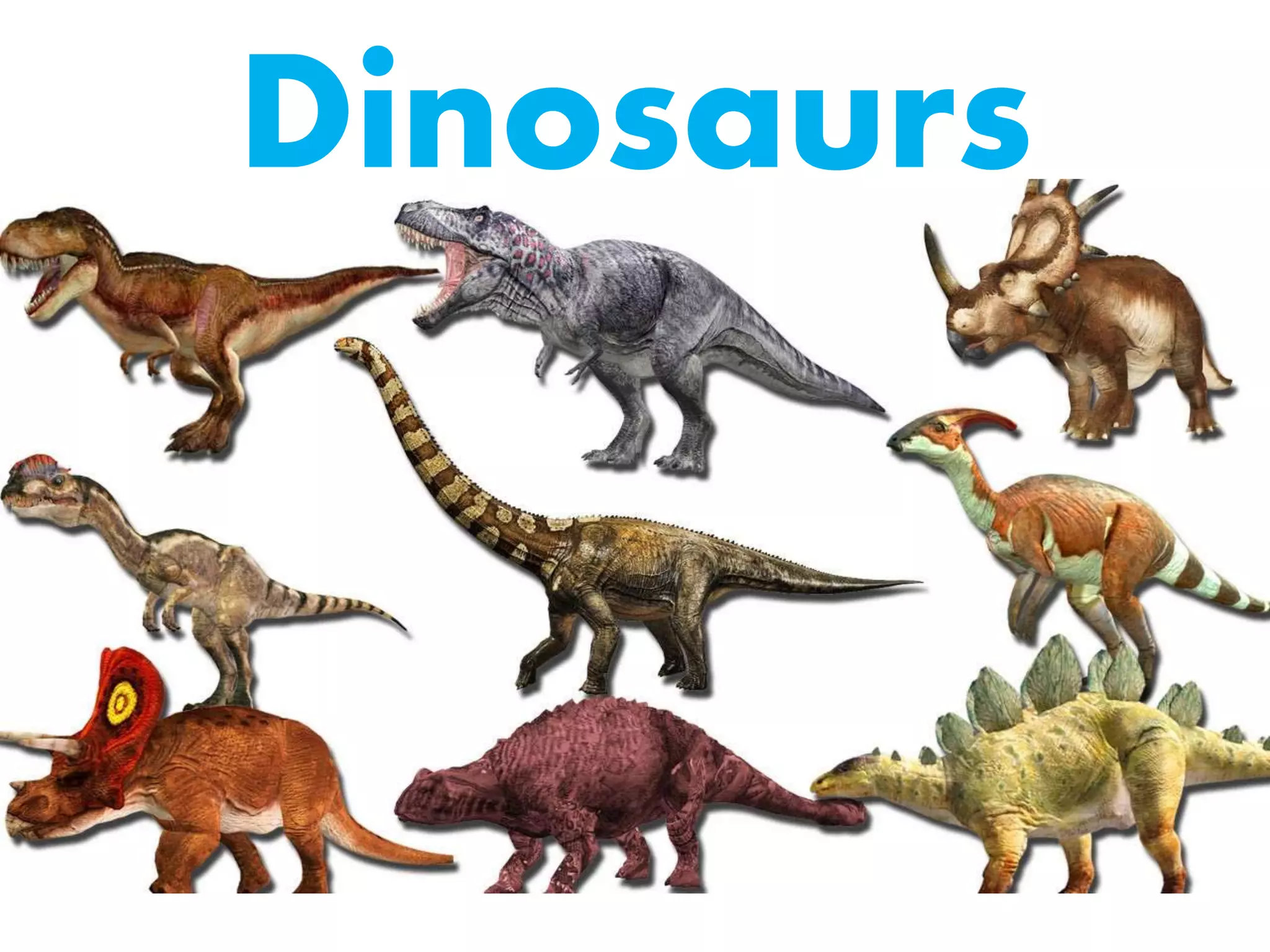 Science Animals Then and Now Philippine Wild Life Animal Reproduction ...