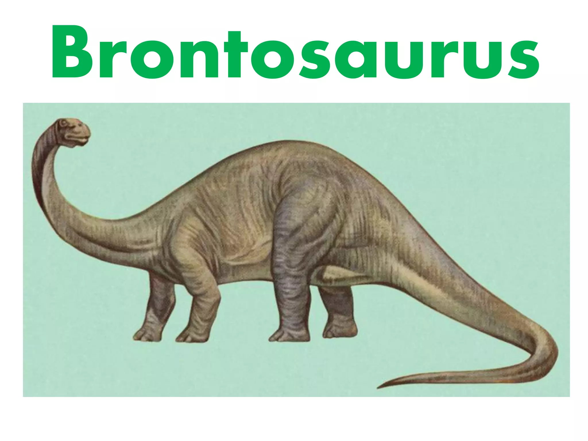 Science Animals Then and Now Philippine Wild Life Animal Reproduction ...