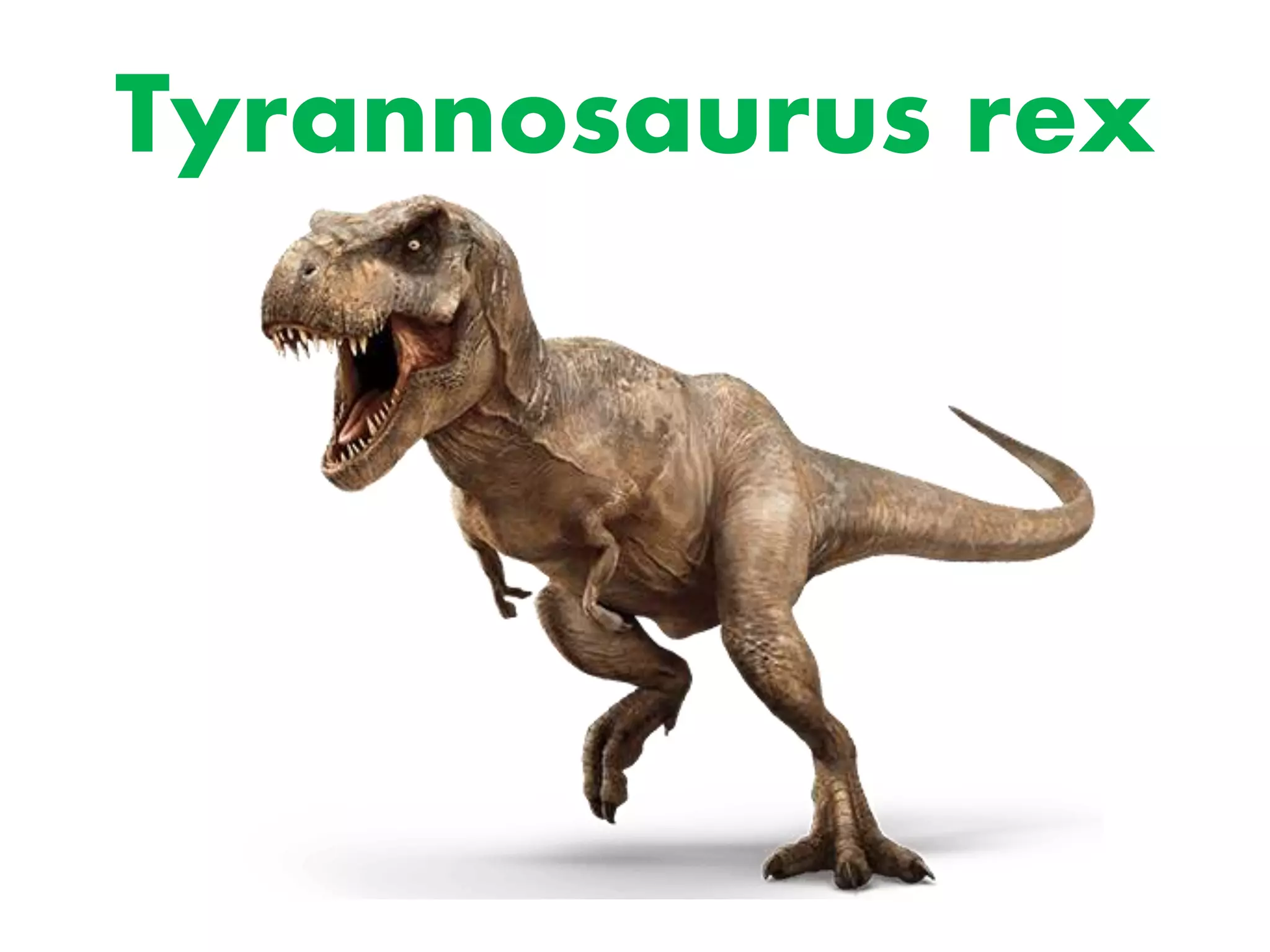 Science Animals Then and Now Philippine Wild Life Animal Reproduction ...