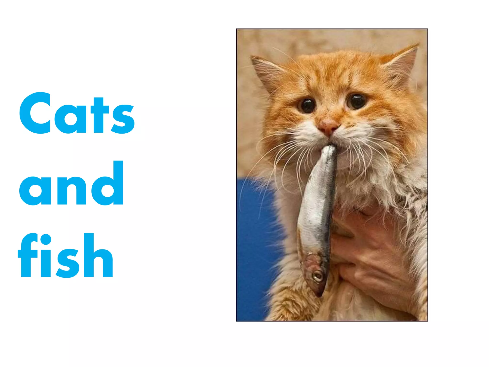 Science Animals Then and Now Philippine Wild Life Animal Reproduction ...