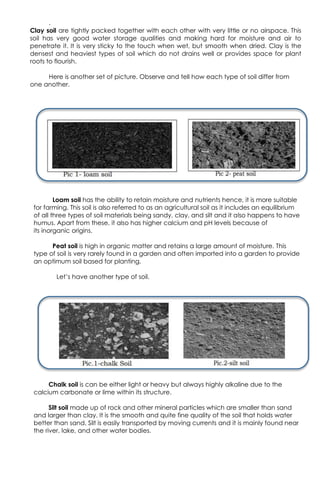 SCIENCE4_LASQ4_WEEK 1.pdf | Gardening | Home & Garden