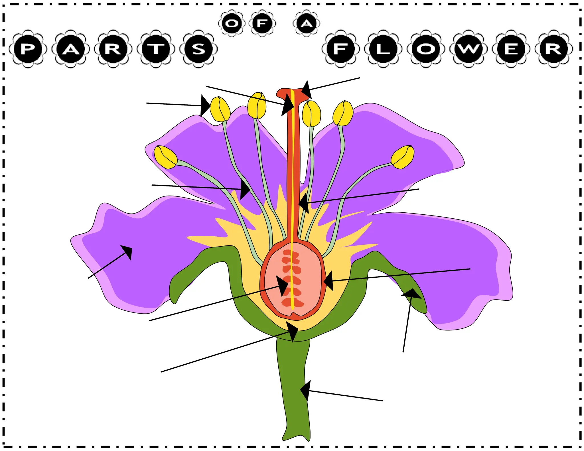 SCIENCE 4 PPT Q3 - parts of a flower.pptx