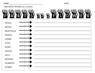 SCIENCE 4 PPT Q3 - parts of a flower.pptx