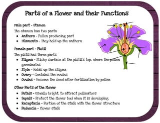 SCIENCE 4 PPT Q3 - parts of a flower.pptx