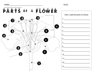 SCIENCE 4 PPT Q3 - parts of a flower.pptx