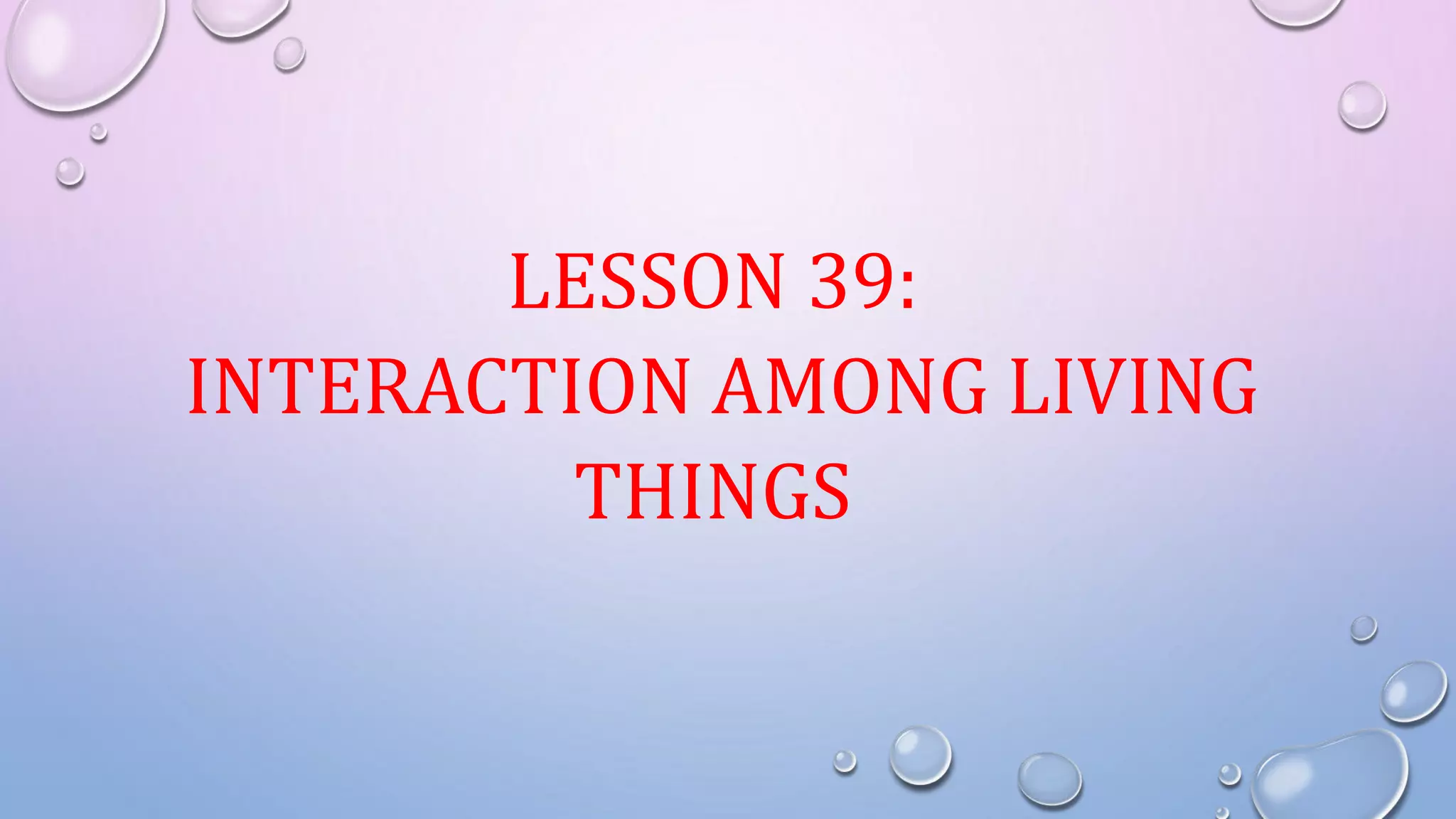 SCIENCE 4 PPT Q3 - Lesson 37-43 Life Cycle of Animals - Egg Laying ...