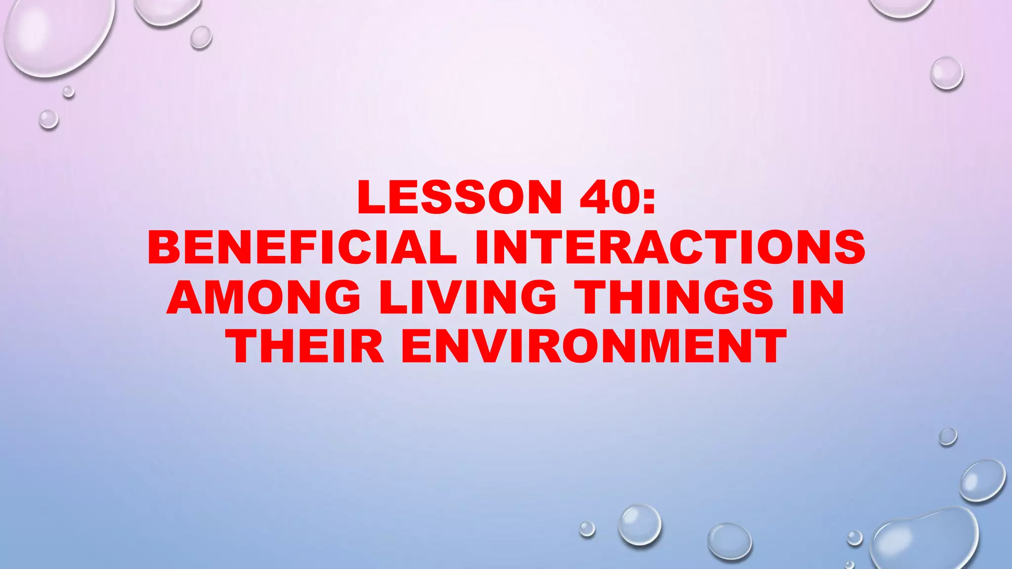SCIENCE 4 PPT Q3 - Lesson 37-43 Life Cycle of Animals - Egg Laying ...