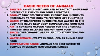 SCIENCE 4 PPT Q3 - Lesson 37-43 Life Cycle of Animals - Egg Laying ...