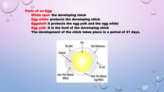 SCIENCE 4 PPT Q3 - Lesson 37-43 Life Cycle of Animals - Egg Laying ...