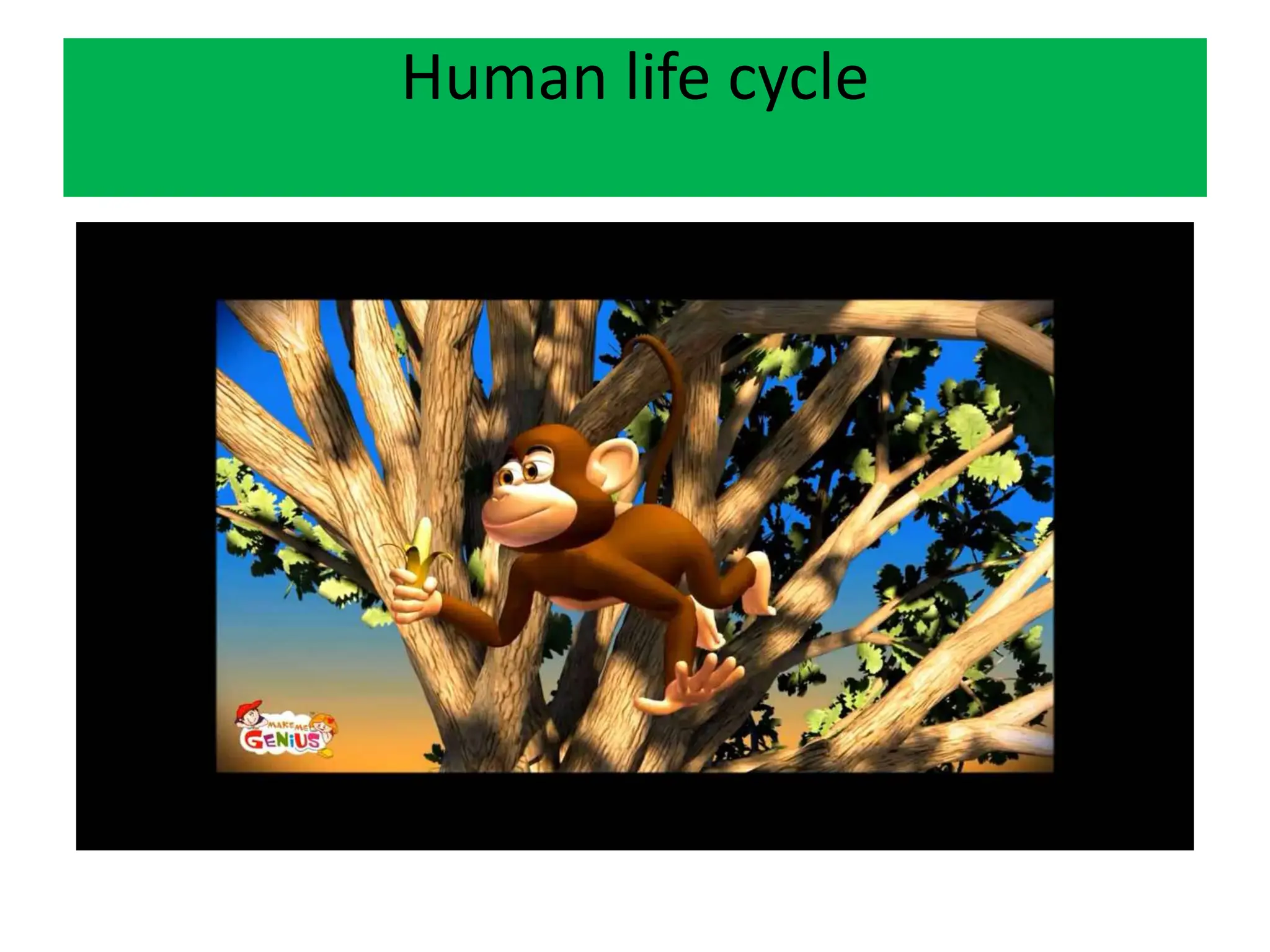 Science 4 Q2 Lesson 38 Life Cycle of Humans.pptx