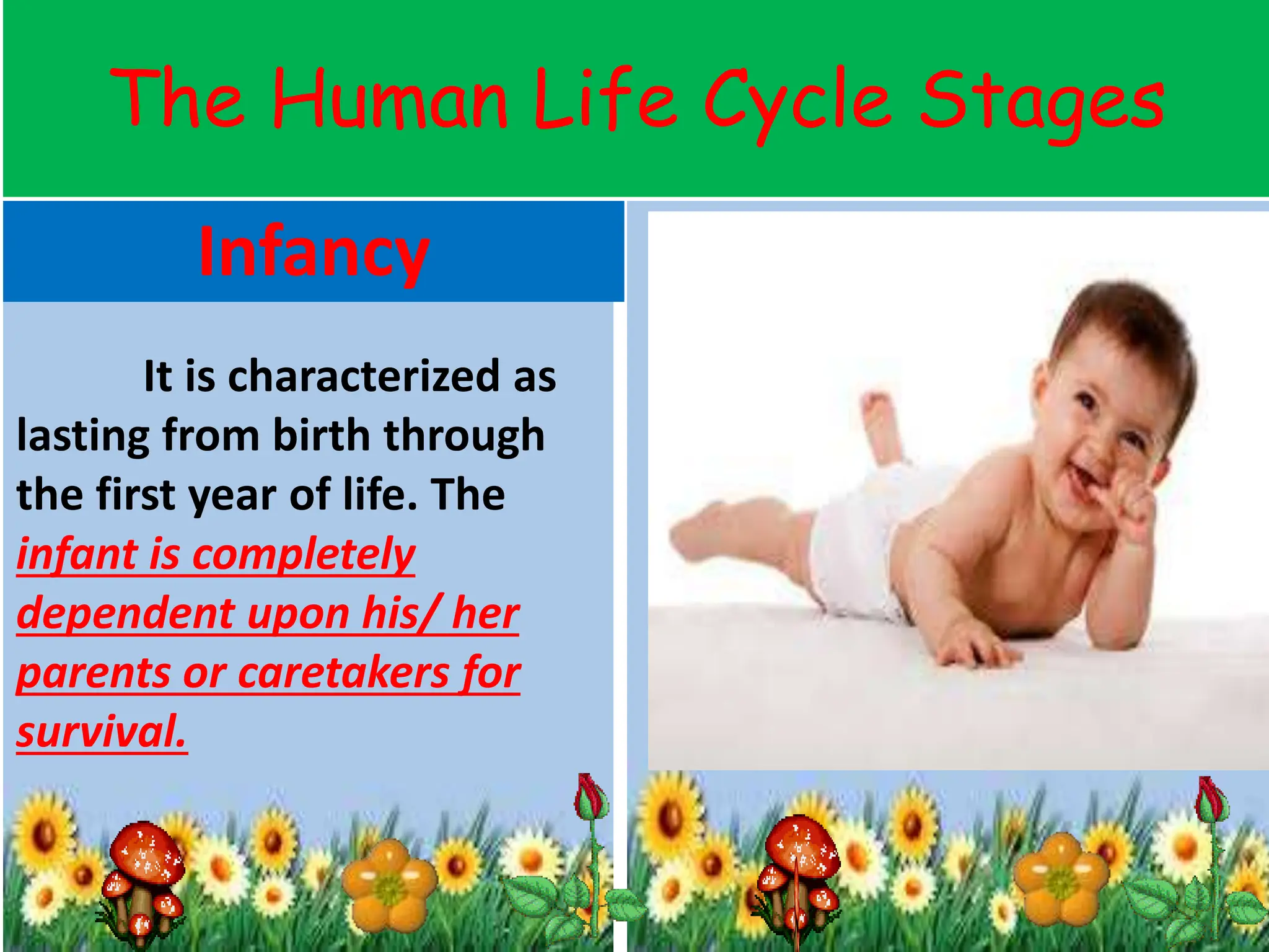 Science 4 Q2 Lesson 38 Life Cycle of Humans.pptx | Parenting Teens ...