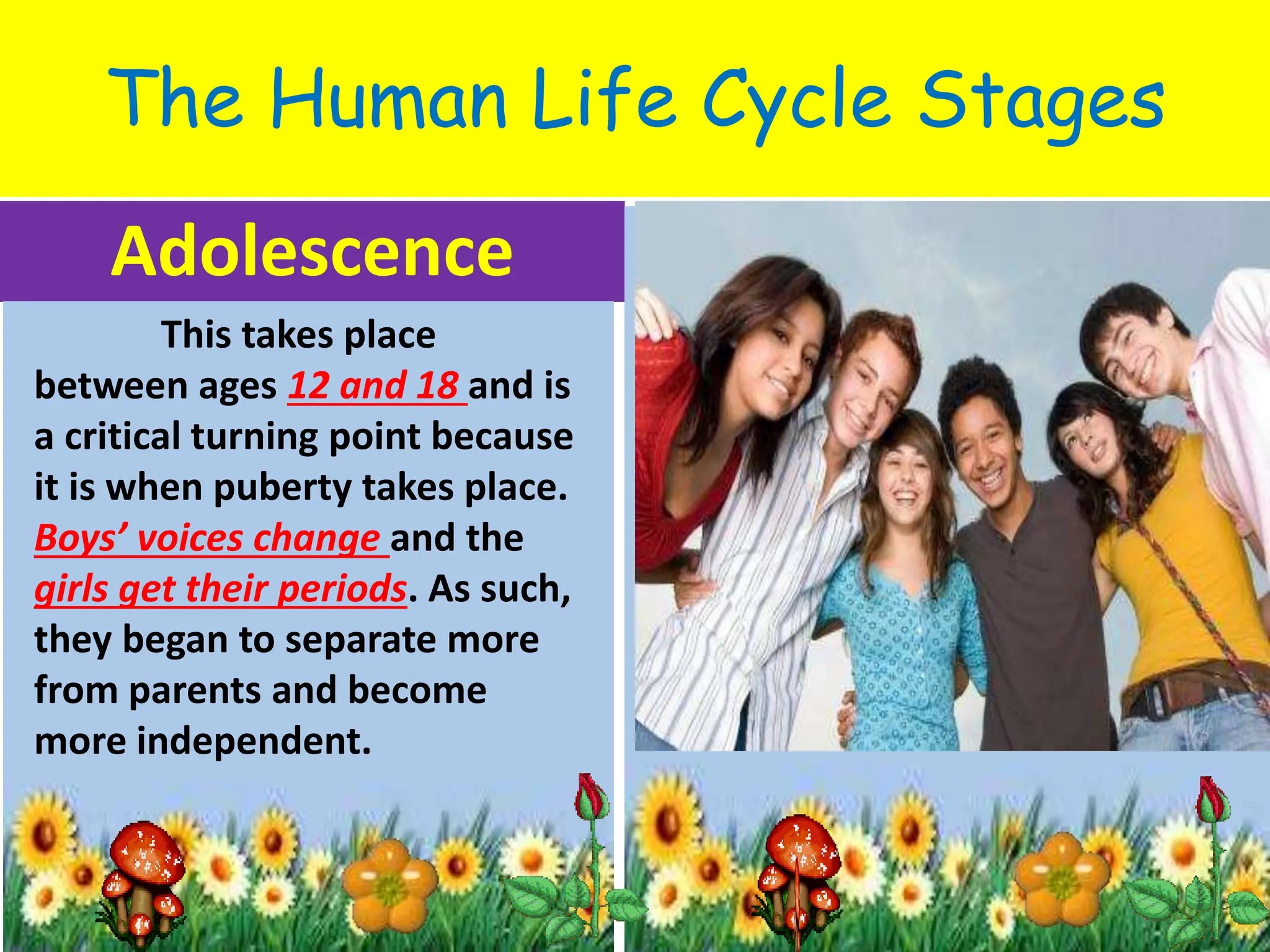 Science 4 Q2 Lesson 38 Life Cycle of Humans.pptx