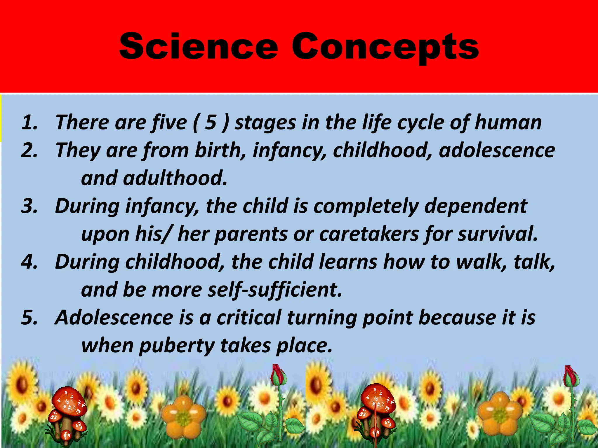 Science 4 Q2 Lesson 38 Life Cycle of Humans.pptx