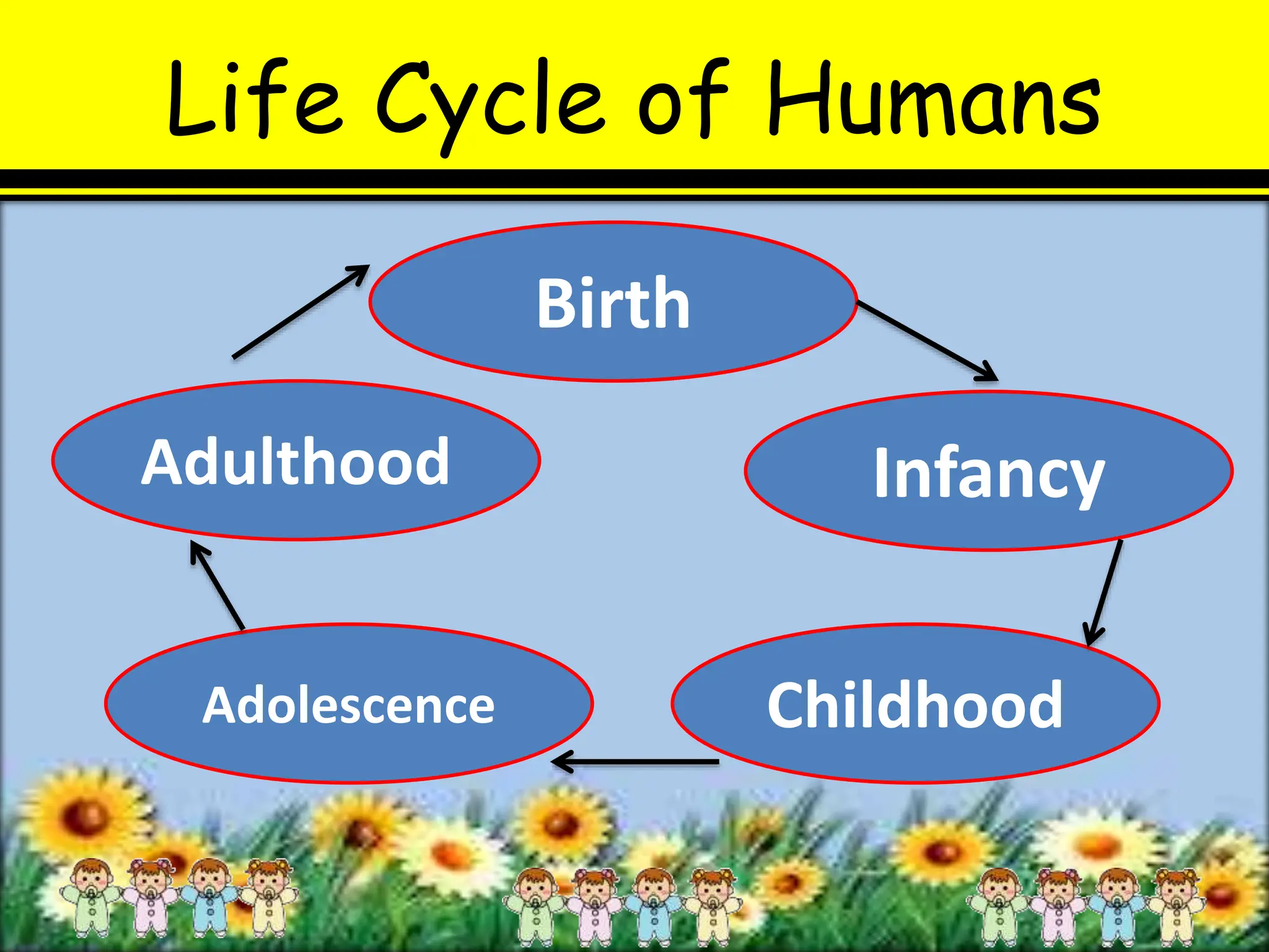 Science 4 Q2 Lesson 38 Life Cycle of Humans.pptx