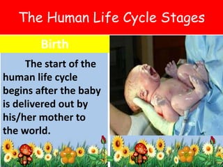 Science 4 Q2 Lesson 38 Life Cycle of Humans.pptx | Parenting Teens ...