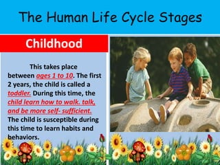 Science 4 Q2 Lesson 38 Life Cycle of Humans.pptx | Parenting Teens ...