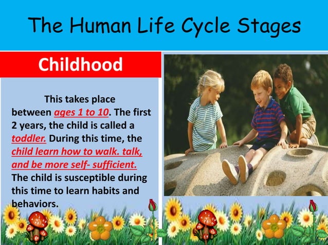 Science 4 Q2 Lesson 38 Life Cycle of Humans.pptx | Parenting Teens ...