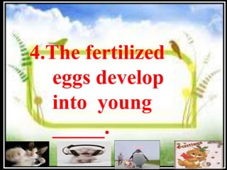 Science 4 Q2 Lesson 38 Life Cycle of Humans.pptx