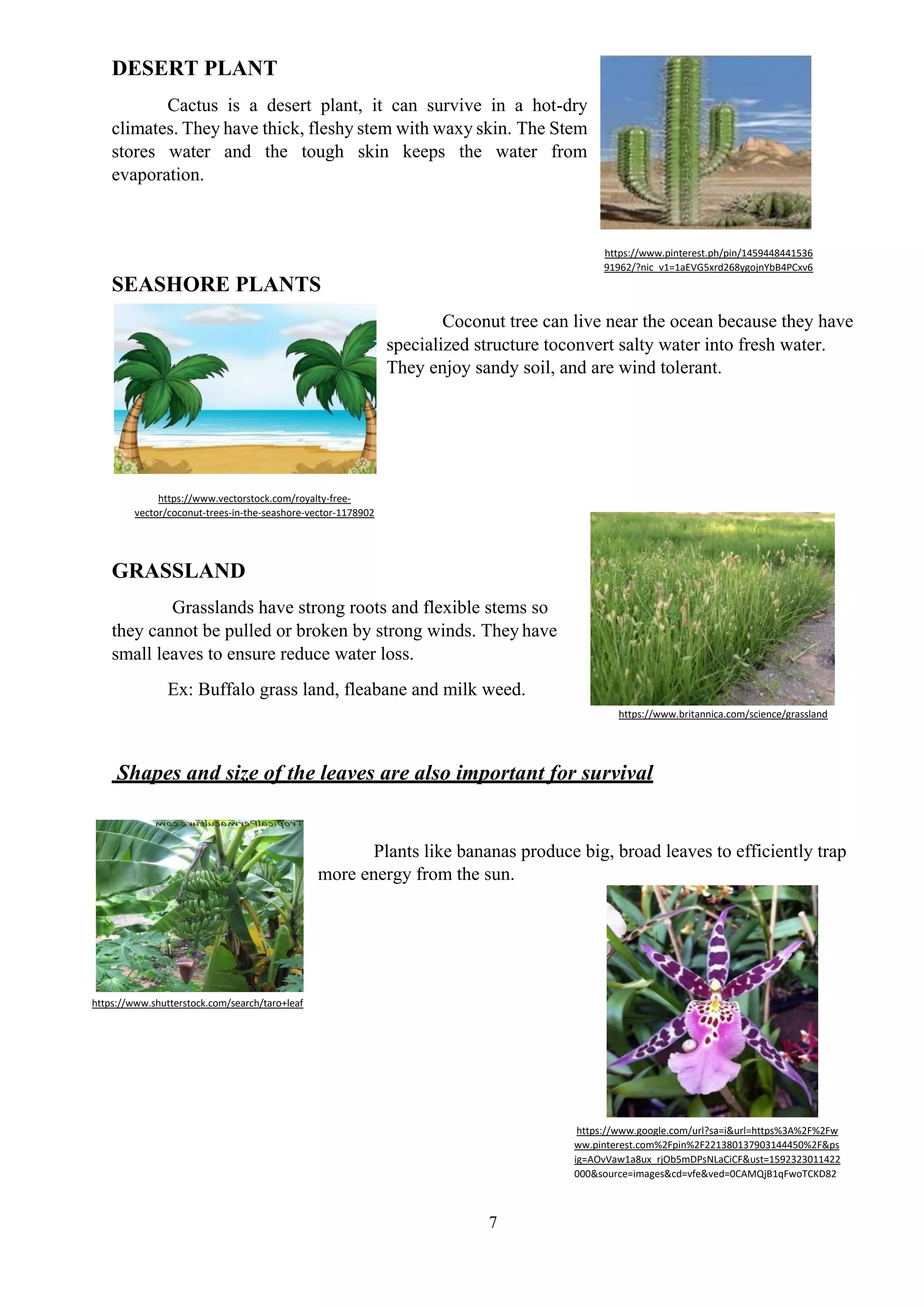 SCIENCE 4_Q2_Mod3.pdf