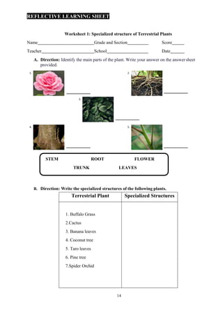 SCIENCE 4_Q2_Mod3.pdf