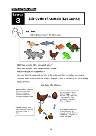 SCIENCE 4_Q2_Mod4.pdf