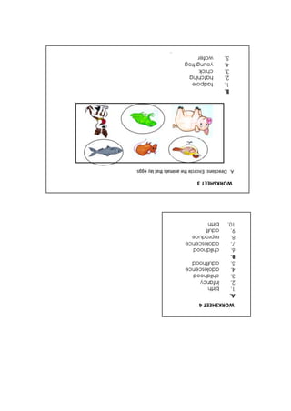 SCIENCE 4_Q2_Mod4.pdf
