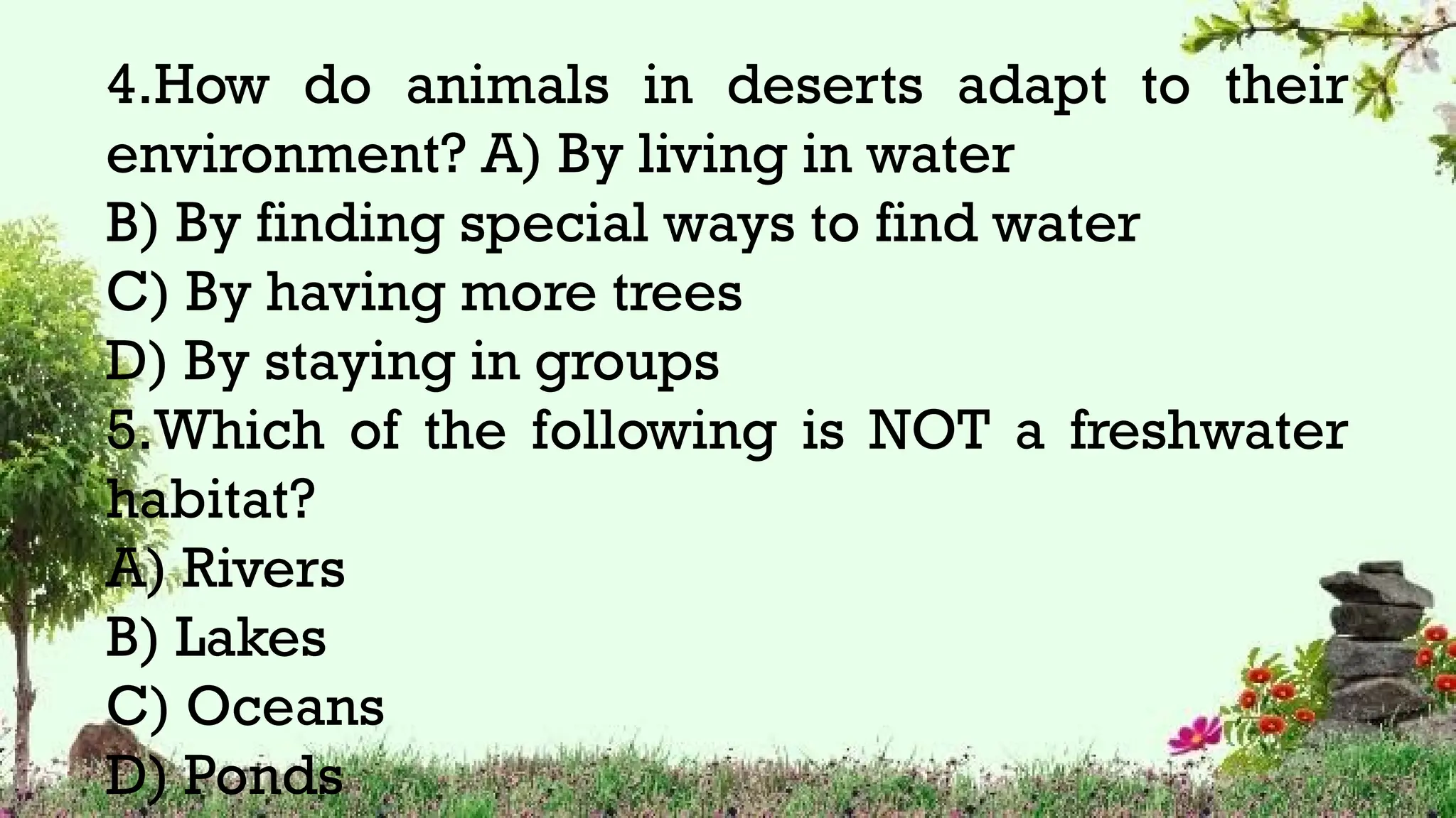 SCIENCE 4 Q2W5 PPT.pptx Lesson About Plnts and animals and their ...