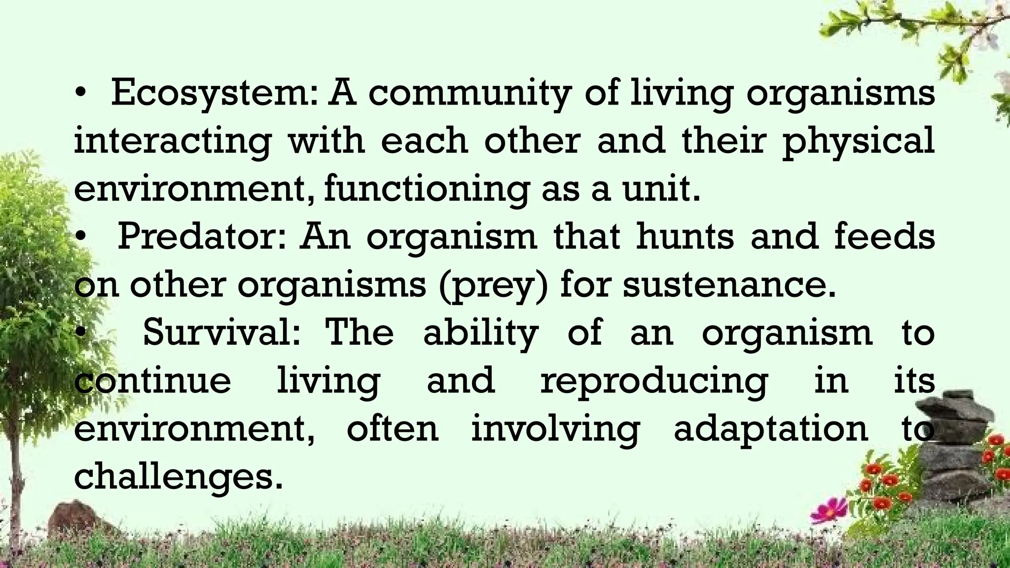 SCIENCE 4 Q2W5 PPT.pptx Lesson About Plnts and animals and their ...