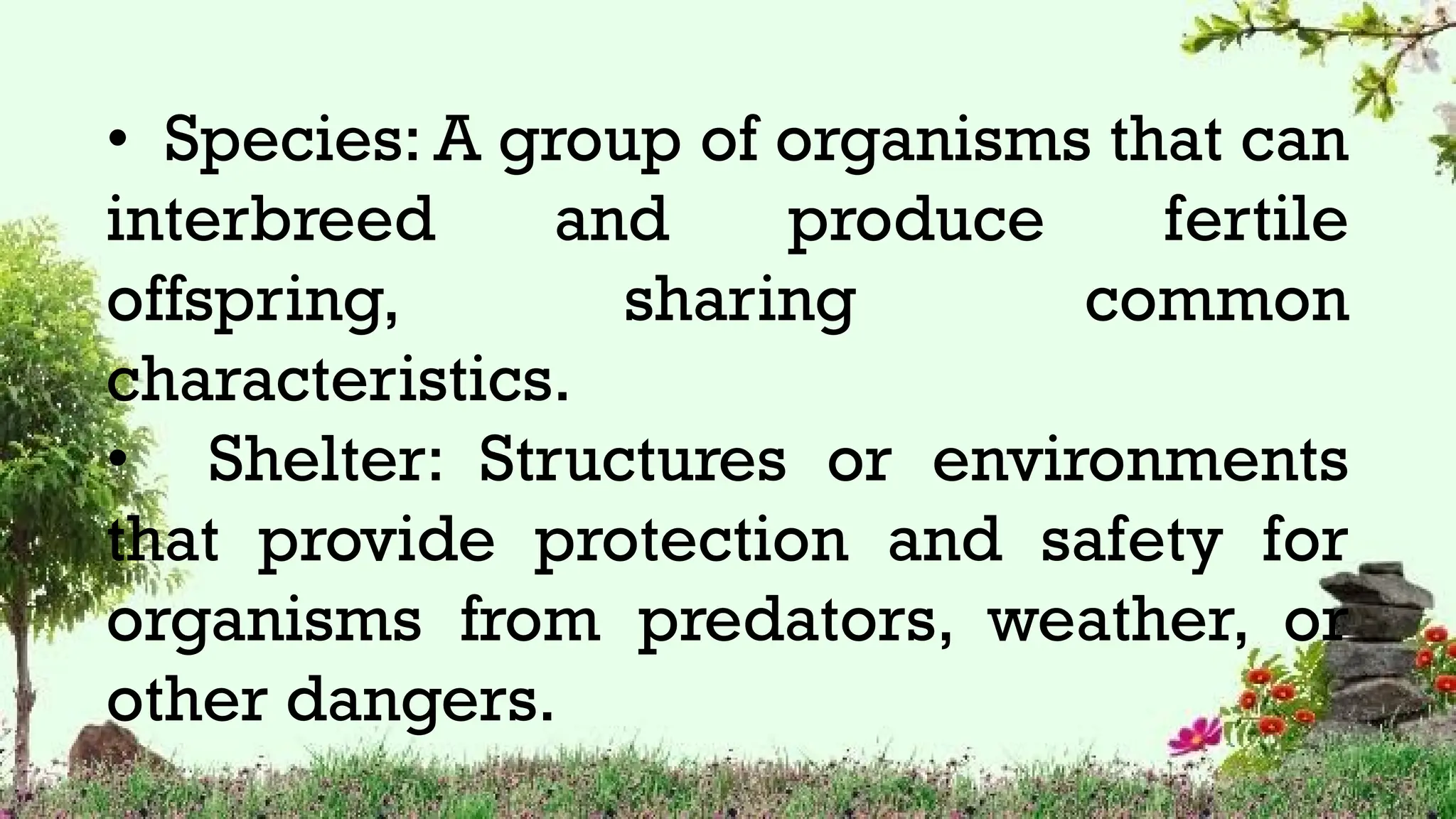 SCIENCE 4 Q2W5 PPT.pptx Lesson About Plnts and animals and their ...