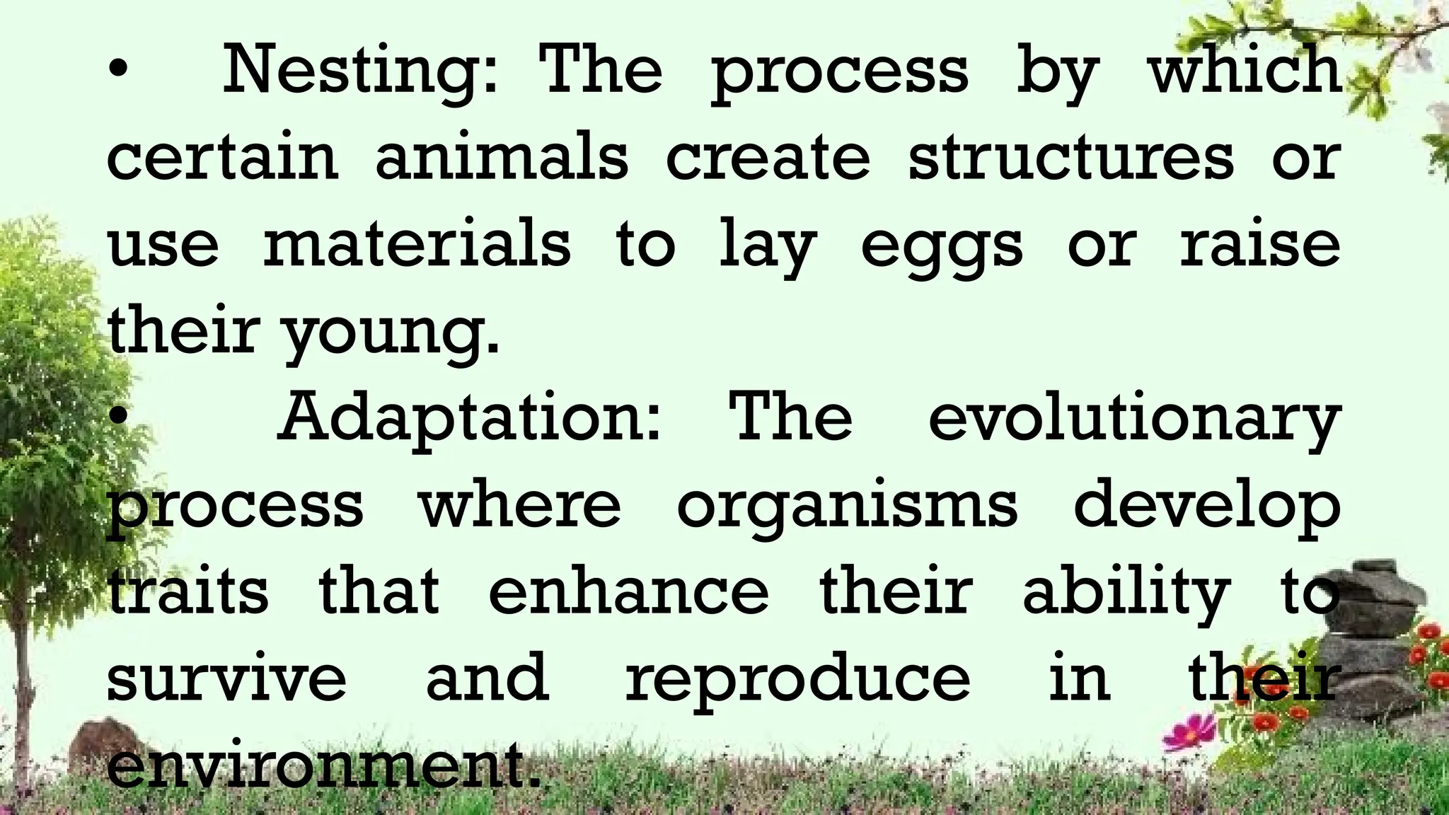 SCIENCE 4 Q2W5 PPT.pptx Lesson About Plnts and animals and their ...