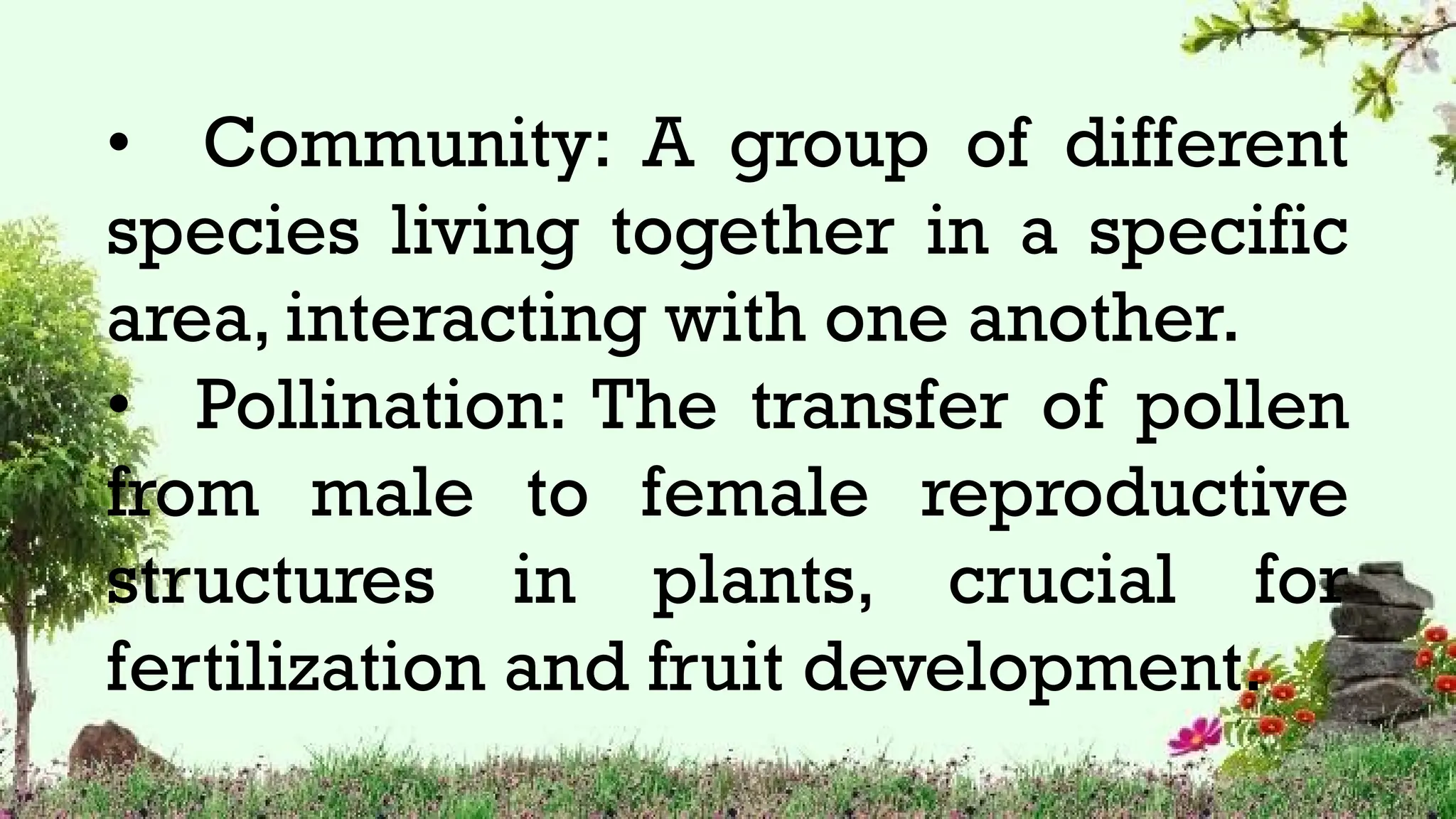 SCIENCE 4 Q2W5 PPT.pptx Lesson About Plnts and animals and their ...